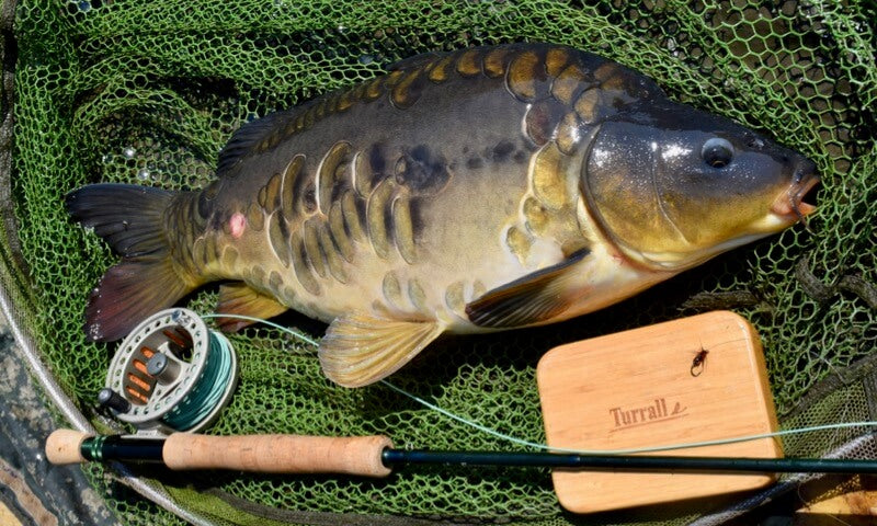 Turrall Top Tips: Fly Fishing for Carp: Best fly patterns and leaders ...