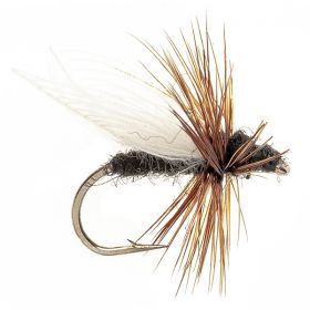 DRY HACKLED FLY CDC FLYING ANT BLACK – H Turrall & Co Ltd