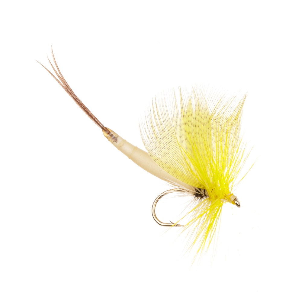 DETACHED YELLOW DRAKE MAYFLY – H Turrall & Co Ltd