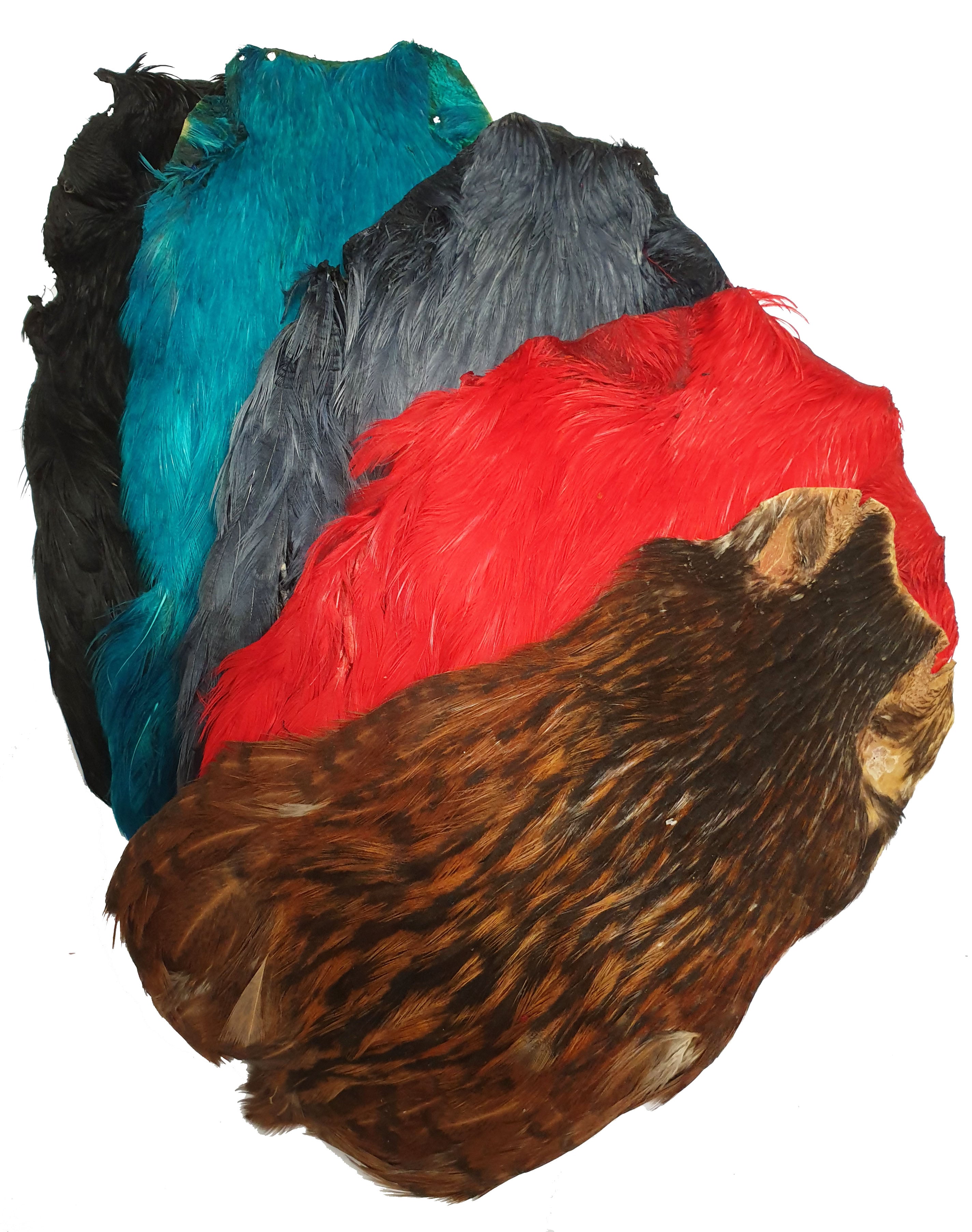 HEN NECK COMPLETE – H Turrall & Co Ltd