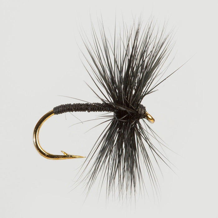 BLACK SPIDER DRY HACKLED – H Turrall & Co Ltd