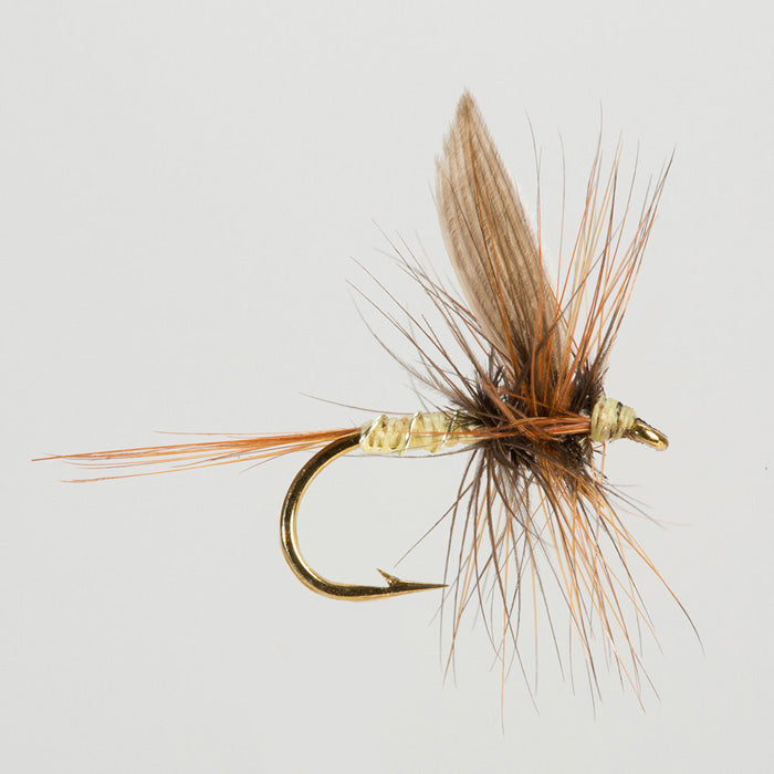 GREENWELL'S GLORY – H Turrall & Co Ltd