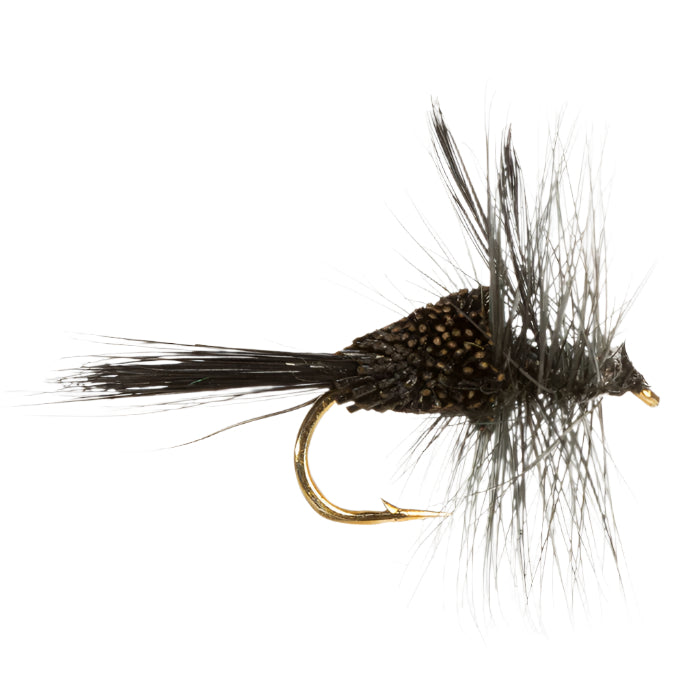 IRRESISTIBLE-BLACK – H Turrall & Co Ltd