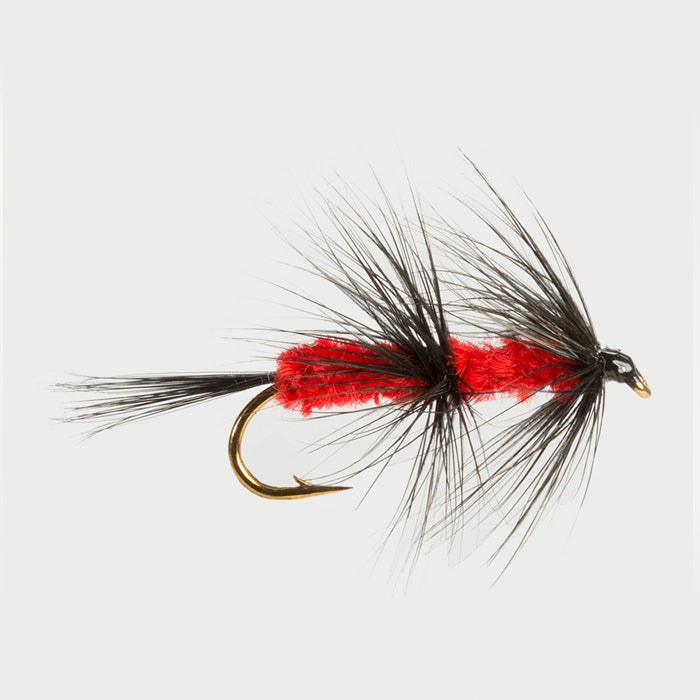 FUZZY WUZZY – H Turrall & Co Ltd