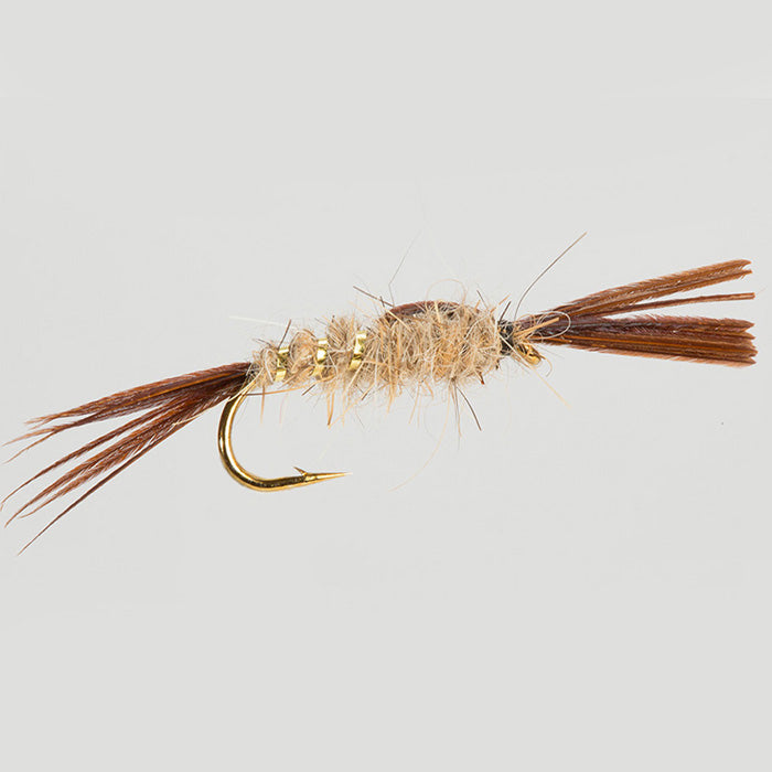 MARCH BROWN – H Turrall & Co Ltd