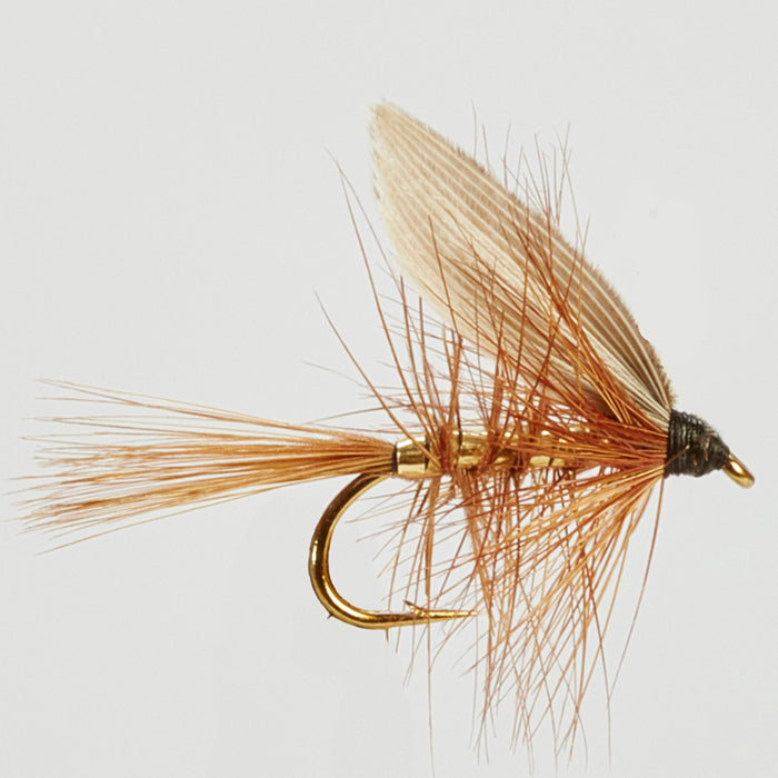 WICKHAM'S FANCY – H Turrall & Co Ltd